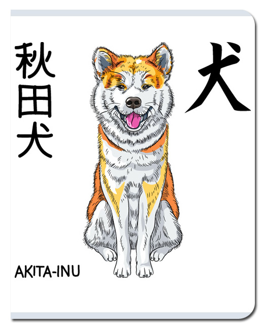 Тетрадь А5 48л клетка FINE BOOKS Кандзи, арт. FB266 купить в интернет ...